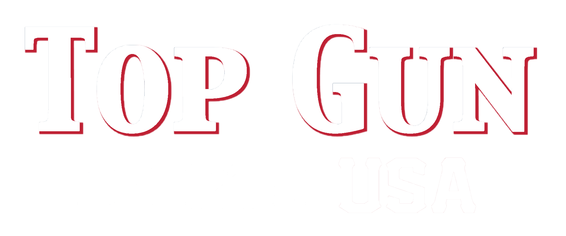 Top Gun Logo top-gun-logo